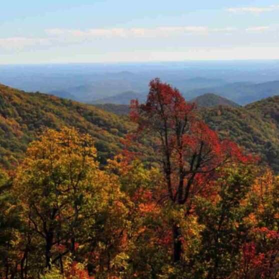 New Trail on the Scene: The American Perimeter Trail | FarOut
