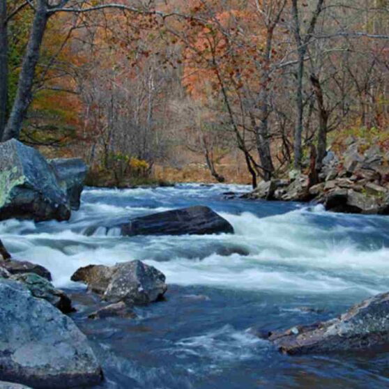 New Trail on the Scene: The American Perimeter Trail | FarOut