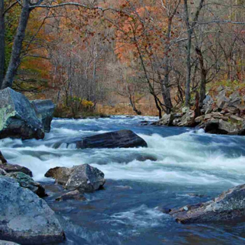 New Trail on the Scene: The American Perimeter Trail | FarOut