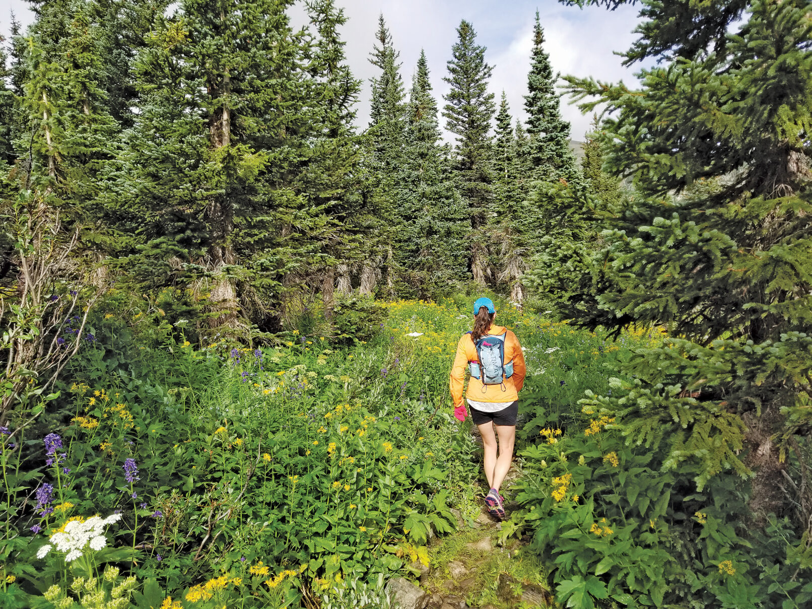55 Best Summit Hikes in Colorado | FarOut