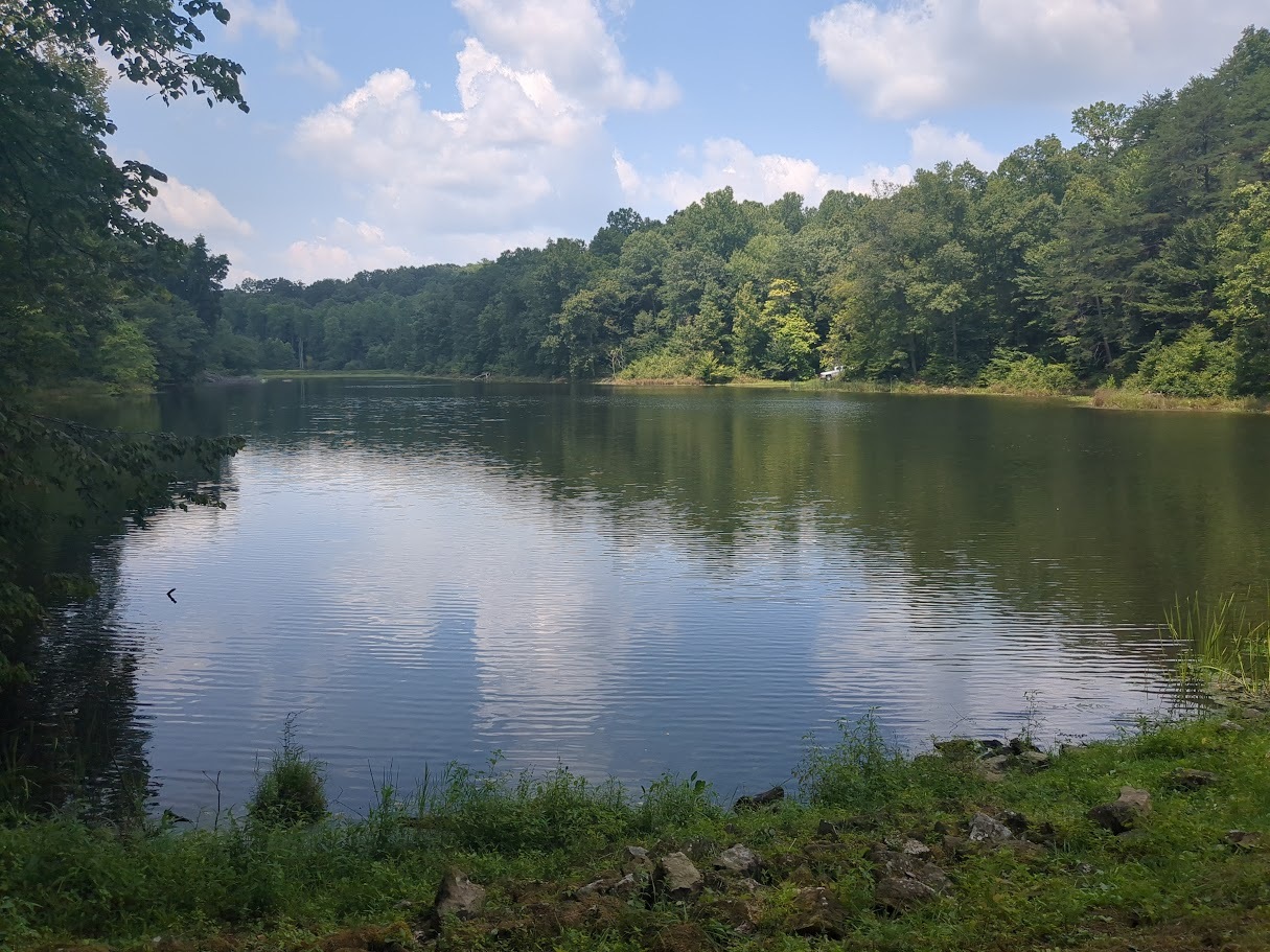 Knobstone Hiking Trail | FarOut