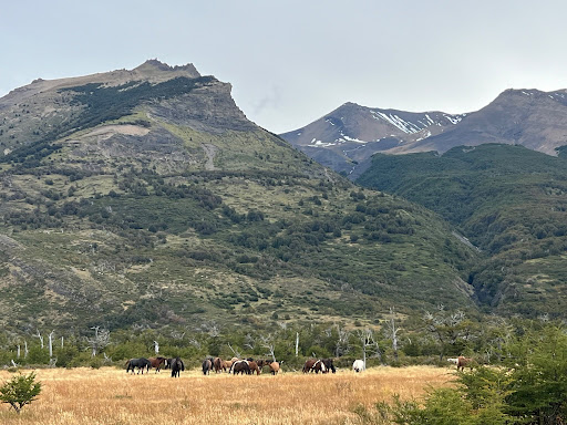 Thru-hiking the Circuito Macizo Paine (Torres del Paine “O” Circuit) in ...